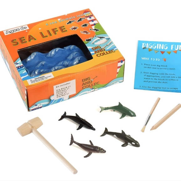 kiobisr | Toys | Ocean Animal Dig Set Ocean Life Excavation Science Kit ...